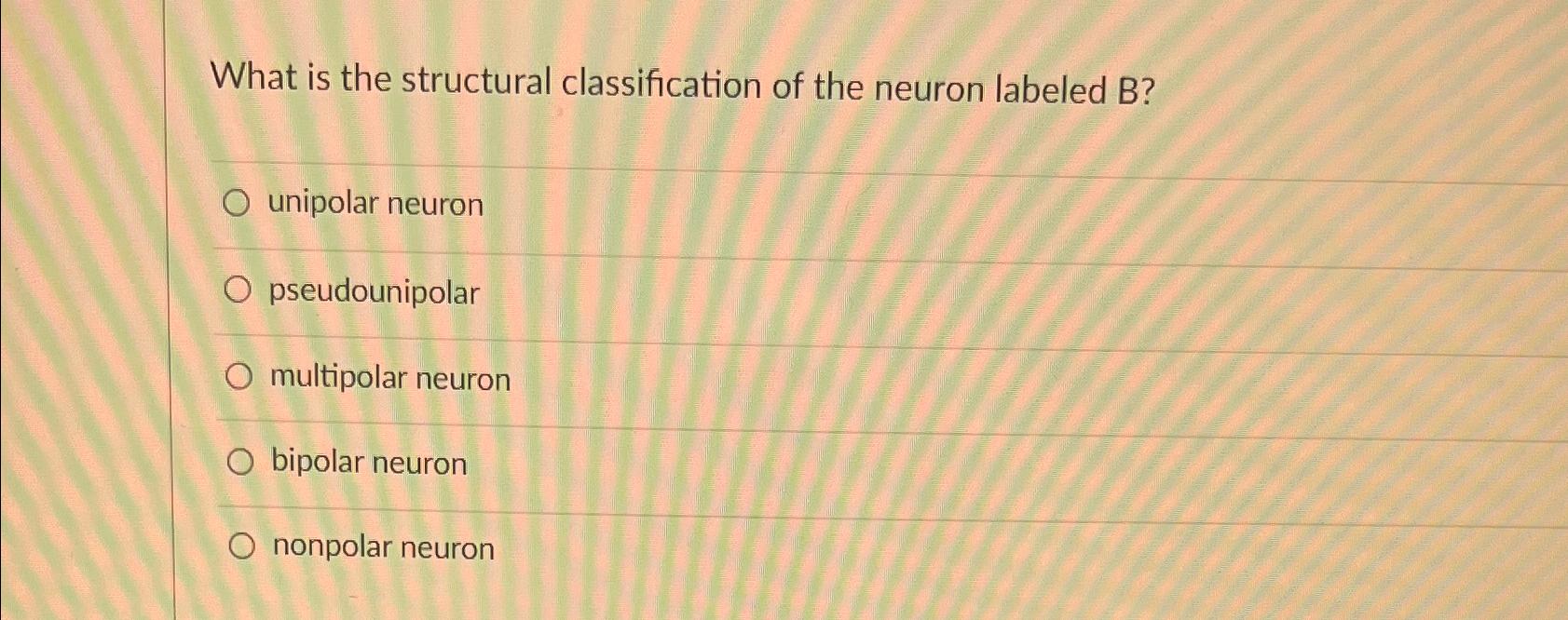 Solved What is the structural classification of the neuron | Chegg.com