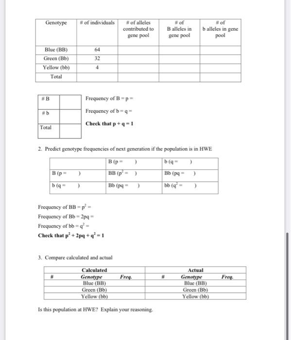 Solved HWE WORKSHEET Problem 1: 1. Calculate allele | Chegg.com