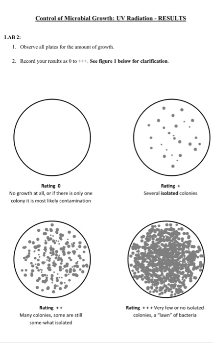 Solved Control of Microbial Growth: UV Radiation - RESULTS | Chegg.com