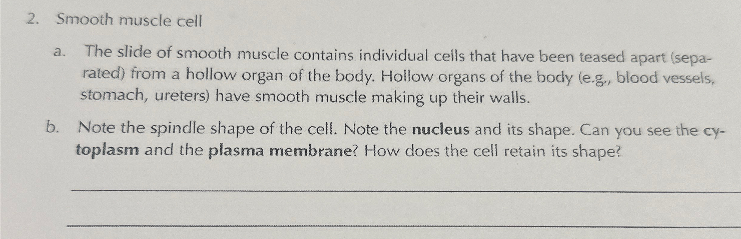 Solved Smooth muscle cella. ﻿The slide of smooth muscle | Chegg.com