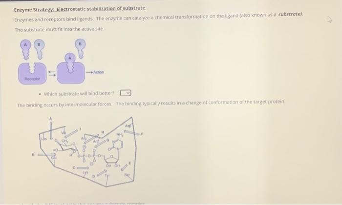 Solved Enzyme Strategy: Electrostatic stabilization of | Chegg.com