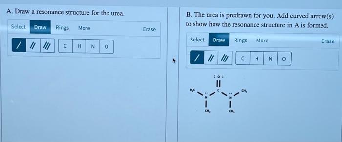 Solved Consider the structure of the urea shown. HgC CH3 CH | Chegg.com