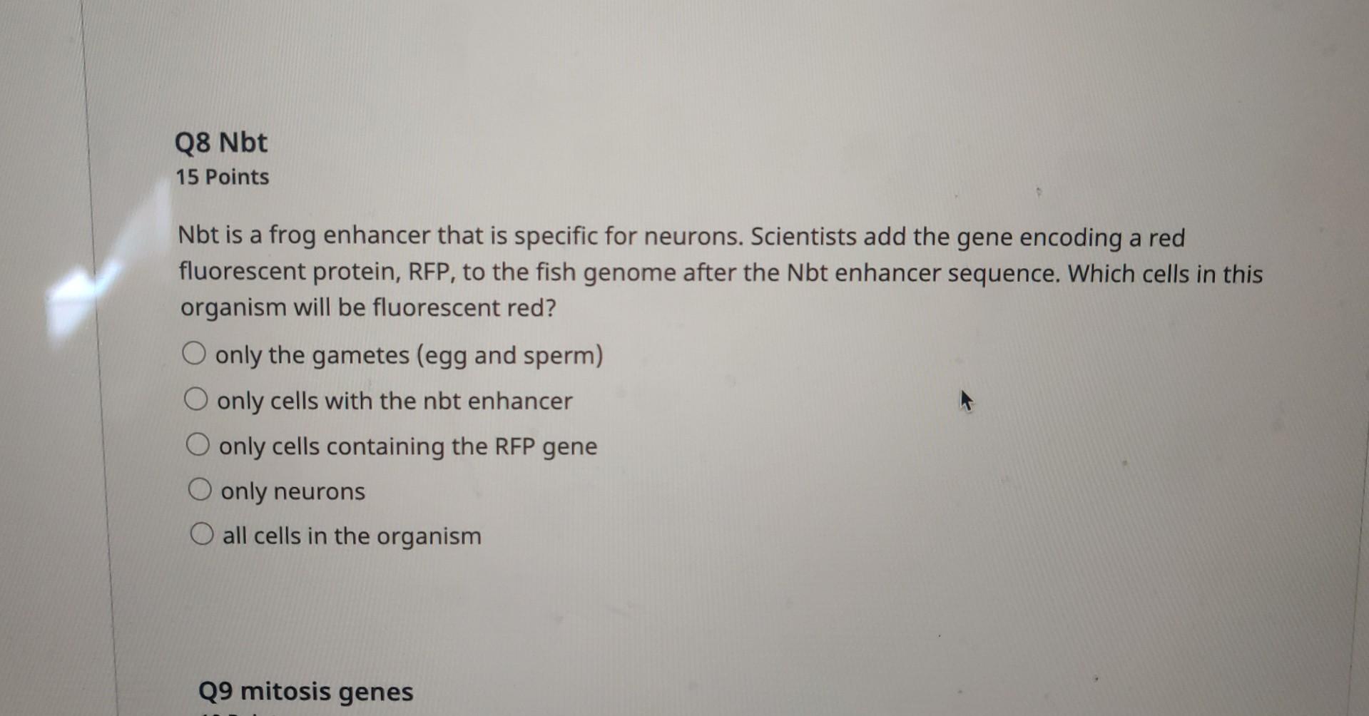 Solved 15 Points Nbt is a frog enhancer that is specific for | Chegg.com