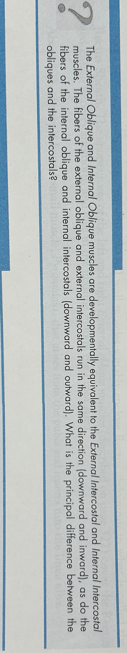 Solved The External Oblique and Internal Oblique muscles are | Chegg.com