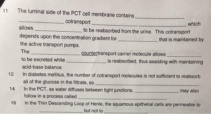 Solved 11 The luminal side of the PCT cell membrane contains | Chegg.com
