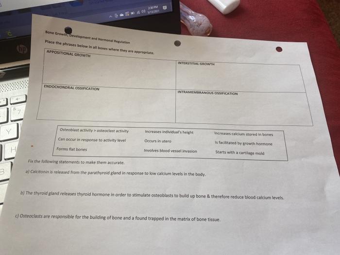 Solved 40 Bone Growth development and Hormonal heptation | Chegg.com