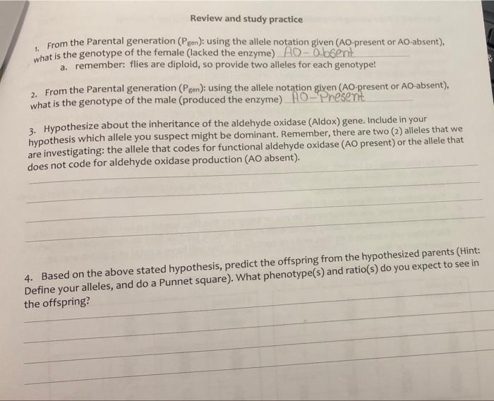 Solved Exercise \# 2 Determining the Pattern of Inheritance | Chegg.com