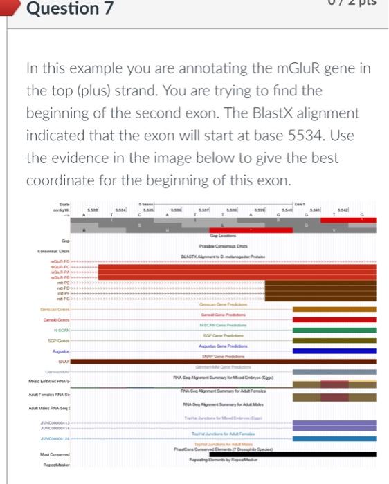 Solved In this example you are annotating the mGluR gene in | Chegg.com