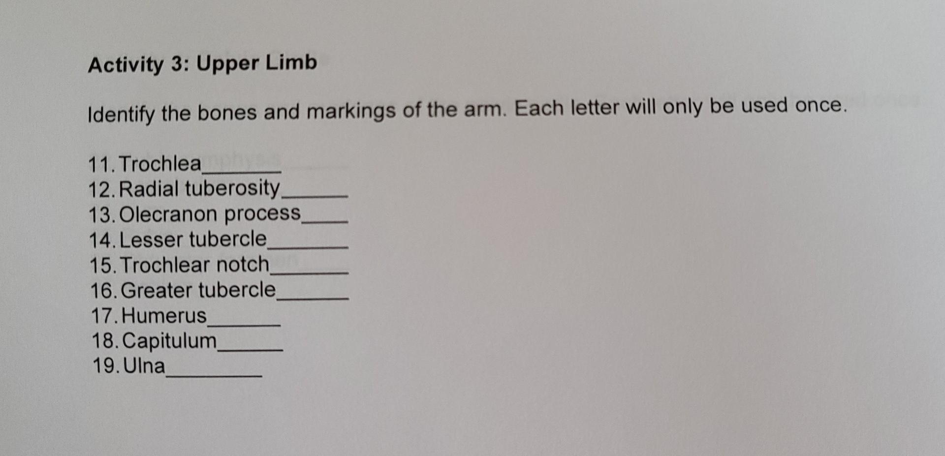 [Solved]: Activity 3: Upper Limb Identify