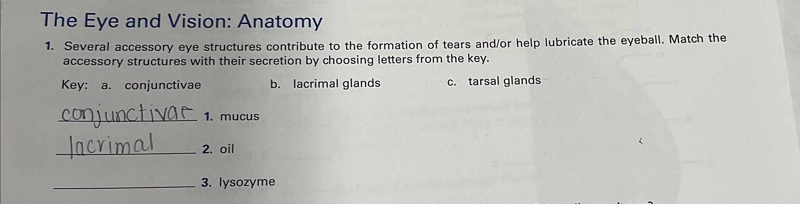 Solved The Eye and Vision: AnatomySeveral accessory eye | Chegg.com