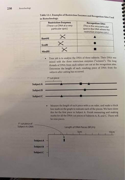 Solved 230 Biotechnology Table 12.1. Examples of Restriction | Chegg.com