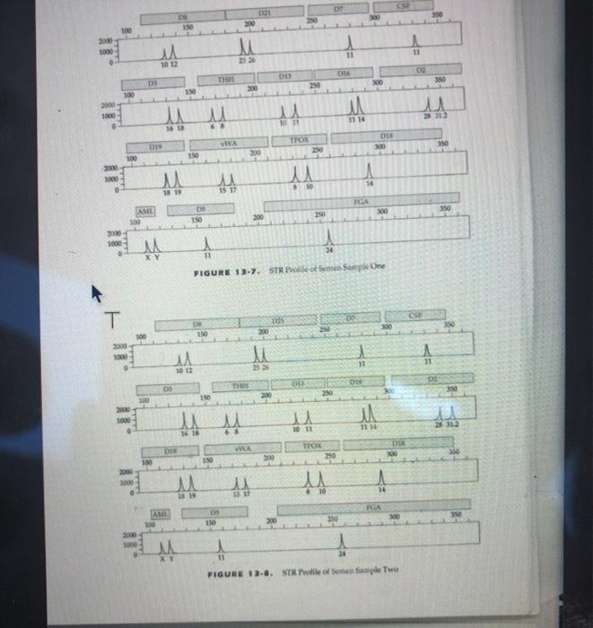 Solved SOLVING A CRIMINAL CASE USING STR EVIDENCE ACTIVITY + | Chegg.com