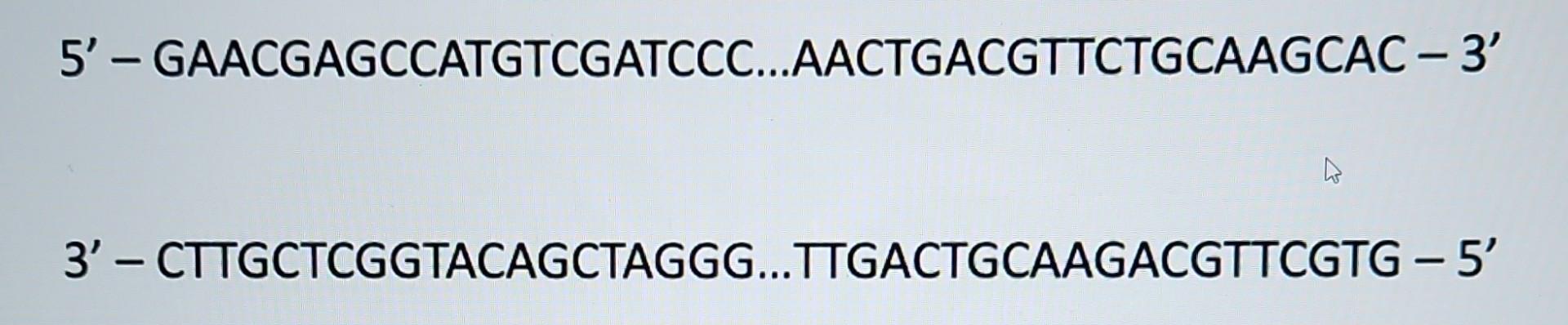 Solved Provide the nucleotide sequence of a 20 nucleotide | Chegg.com