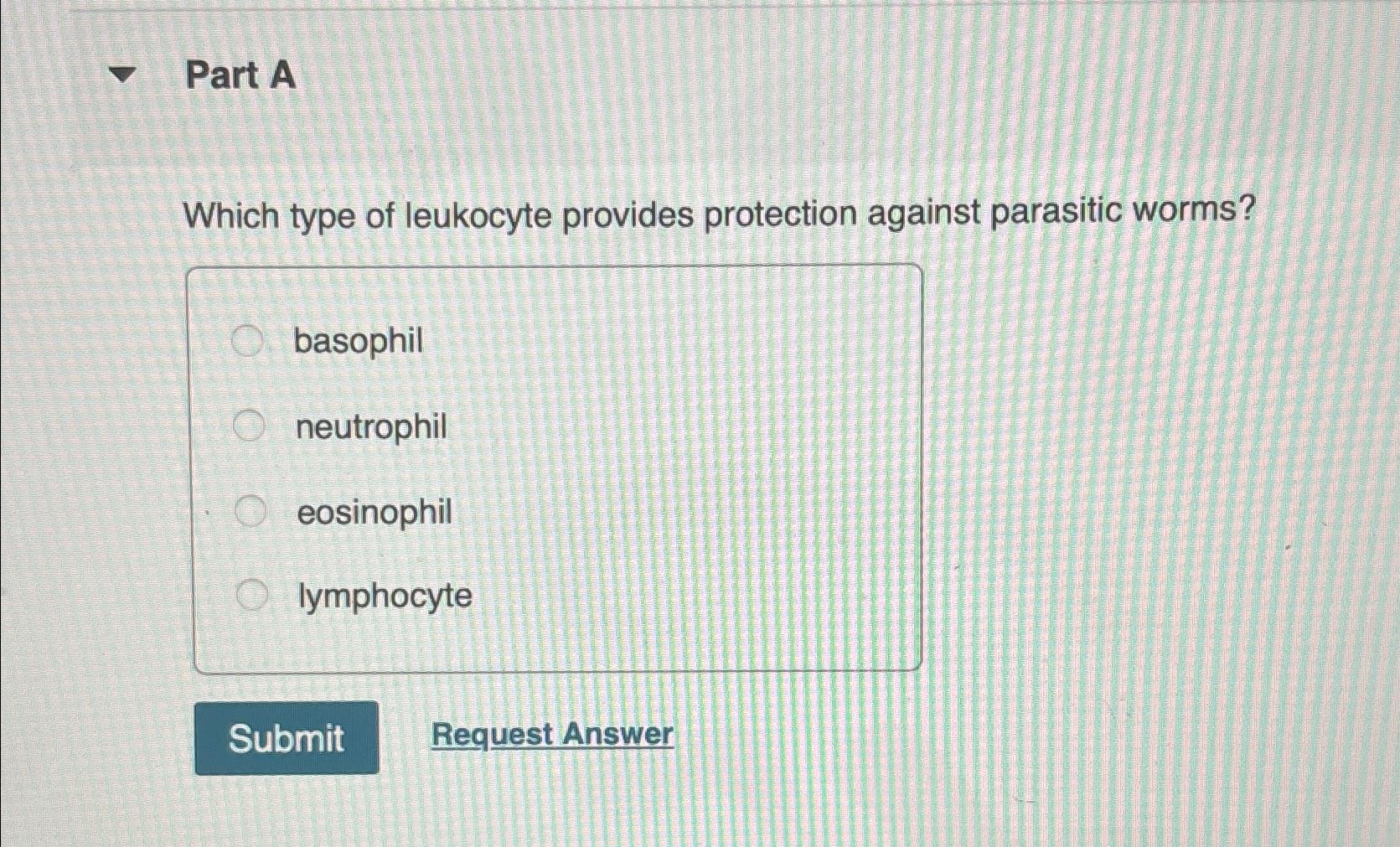 Solved Part AWhich type of leukocyte provides protection | Chegg.com