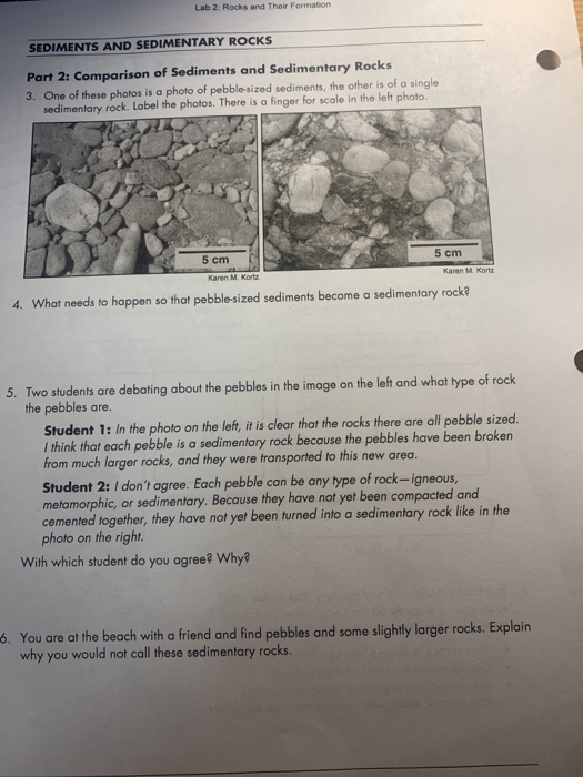 Solved i am a but confused on sedimentary rocks and what | Chegg.com