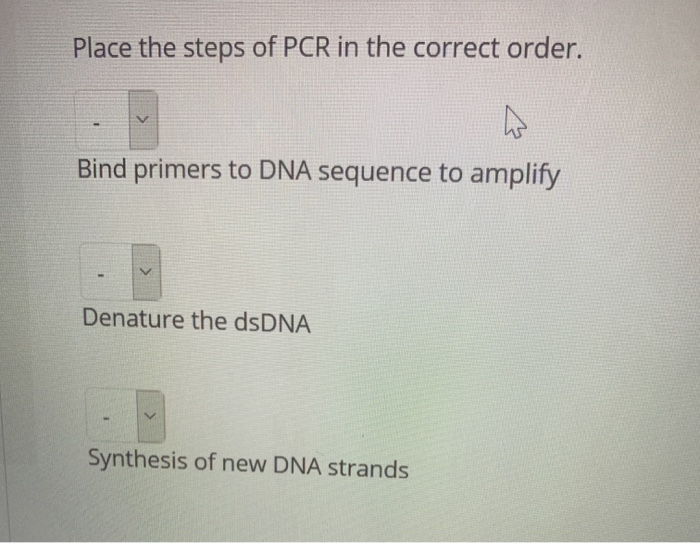 Solved Place the steps of PCR in the correct order. Bind | Chegg.com