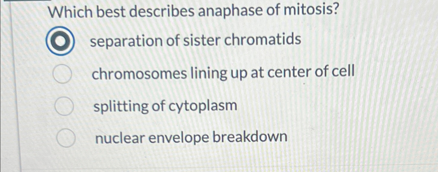 Solved Which best describes anaphase of mitosis?separation | Chegg.com