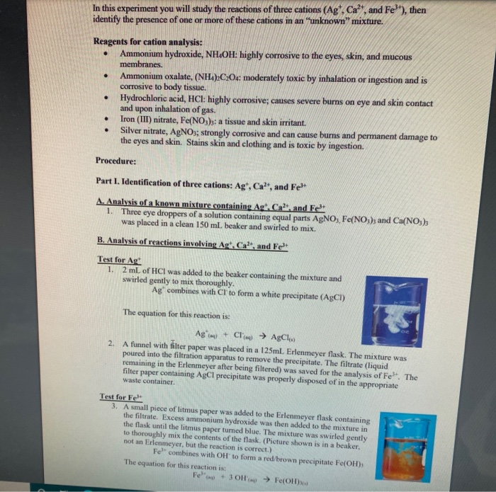 Solved Lab 5 Qualitative Analysis of Ions Objectives: 1. To | Chegg.com