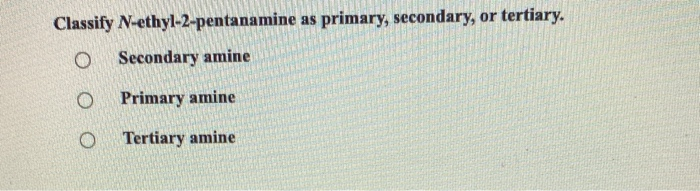 Solved Classify N-ethyl-2-pentanamine as primary, secondary, | Chegg.com