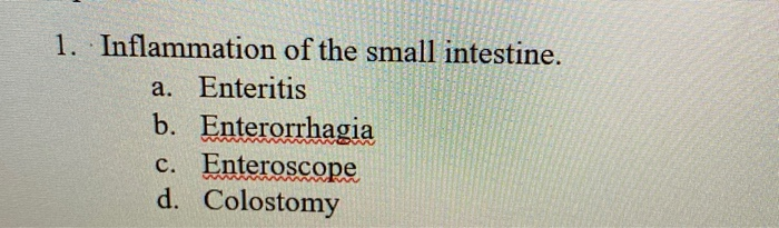 Solved 1. Inflammation of the small intestine. a. Enteritis | Chegg.com