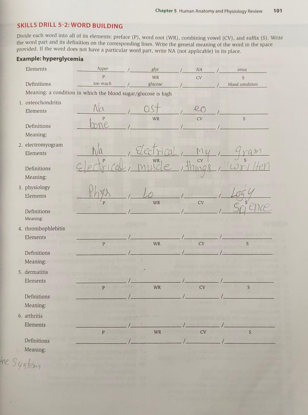 Solved SKILLS DRILL 5-2: WORD BUILDING Divide each word into | Chegg.com