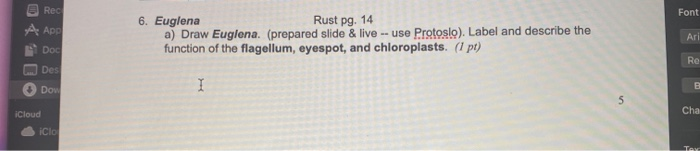 Solved O Rec Font Ar App Doc 6. Euglena Rust pg. 14 a) Draw | Chegg.com