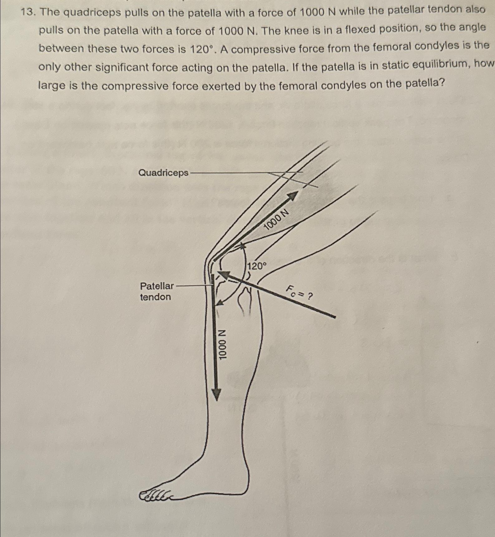Solved The quadriceps pulls on the patella with a force of | Chegg.com