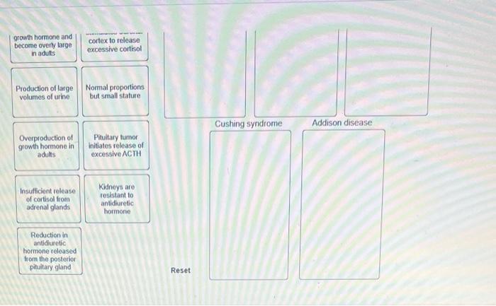 Solved Classify each of the following statements according | Chegg.com