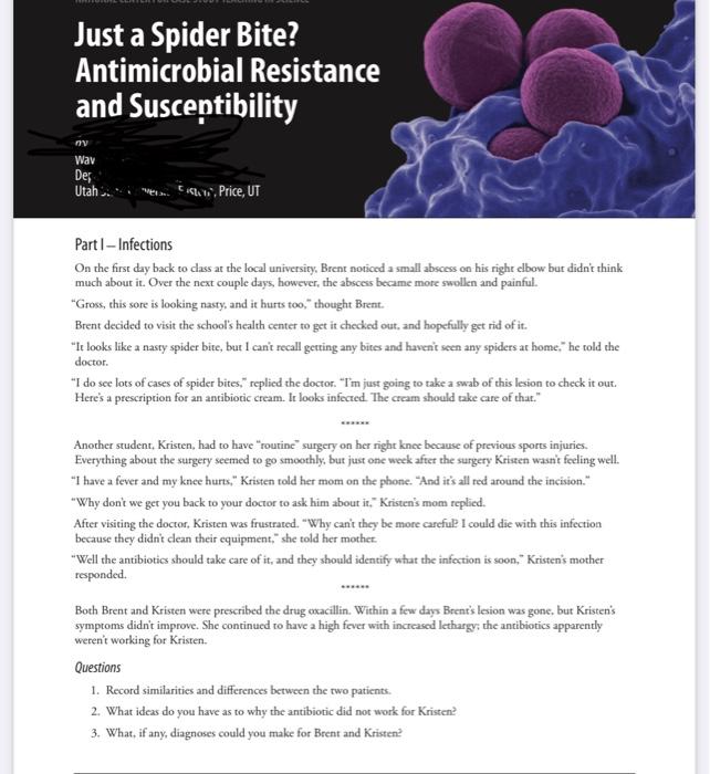 Solved Just a Spider Bite? Antimicrobial Resistance and | Chegg.com
