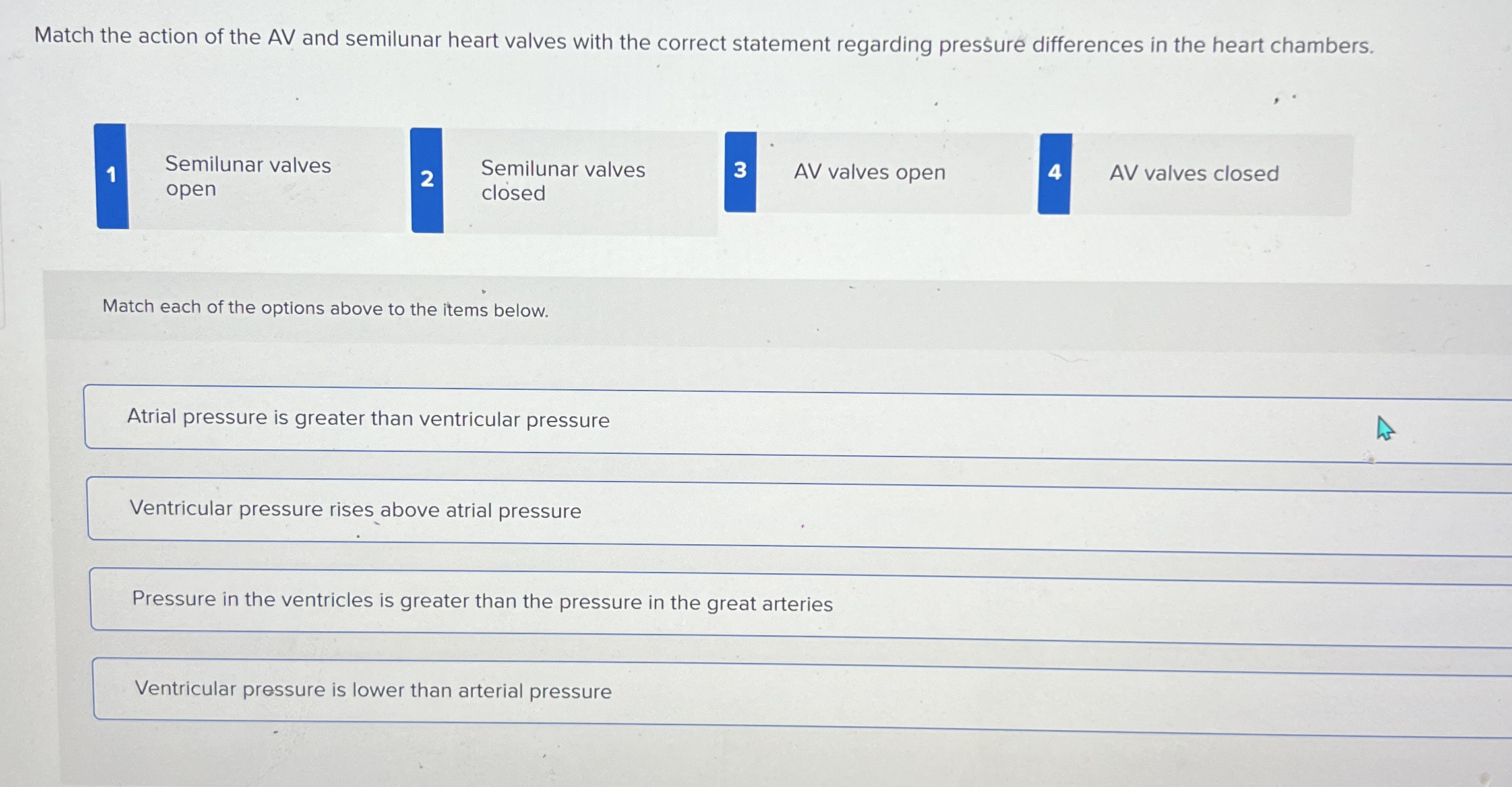 Solved Match the action of the AV and semilunar heart valves | Chegg.com