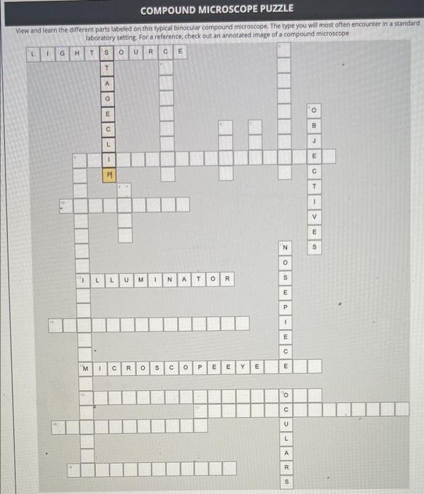 COMPOUND MICROSCOPE PUZZLE View and learn the | Chegg.com