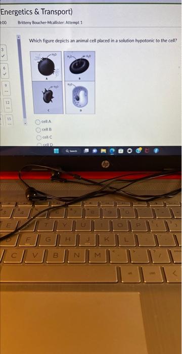 Solved Which figure depicts an animal cell placed in a | Chegg.com