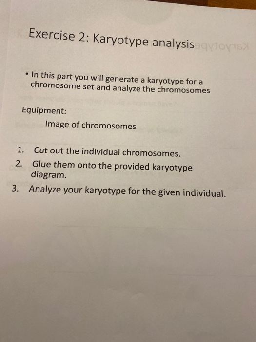 Solved Exercise 2: Karyotype analysis qvovys • In this part | Chegg.com