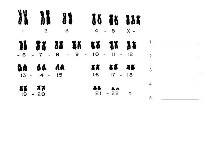 Solved a: | Chegg.com