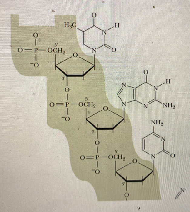 Solved identify the class of biomolecule of each structure | Chegg.com