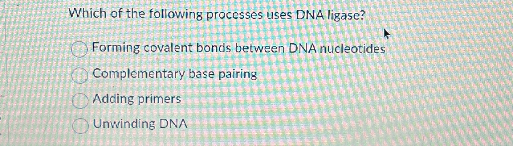 Solved Which of the following processes uses DNA | Chegg.com