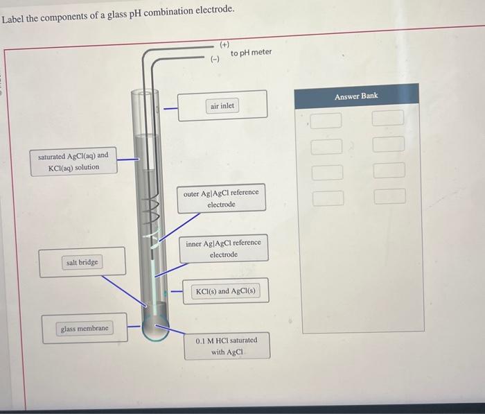 Solved Label the components of a glass pH combination | Chegg.com