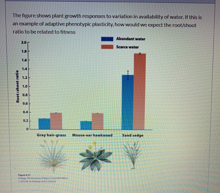 Solved The figure shows plant growth responses to variation | Chegg.com
