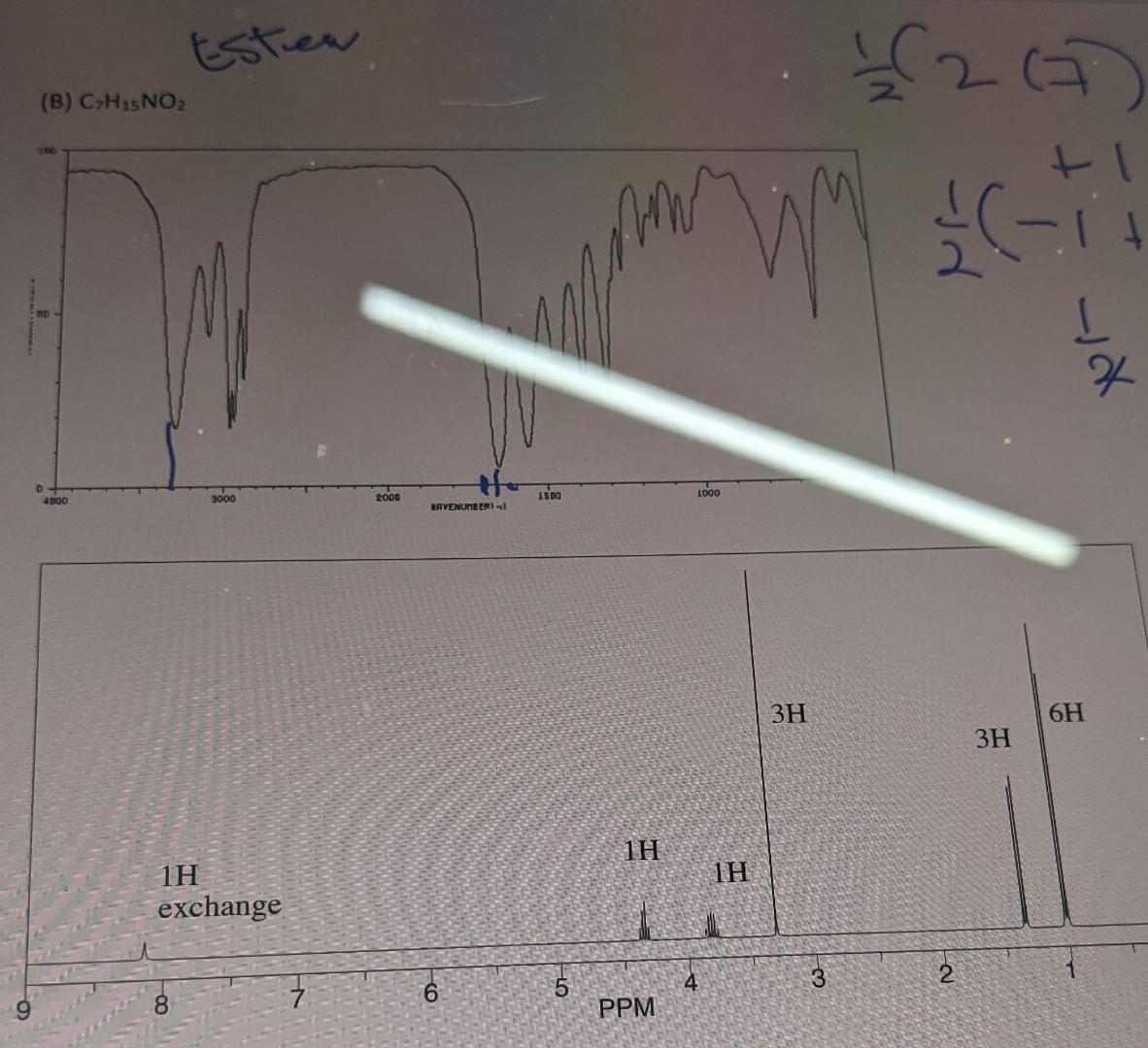 Solved Estew (267 (B) C7H15 NO2 man ti 1+ td yox 4800 3000 | Chegg.com