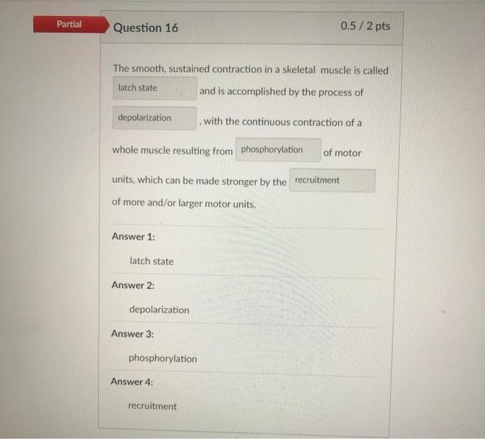 Solved Partial Question 16 0.5/2 pts The smooth, sustained | Chegg.com