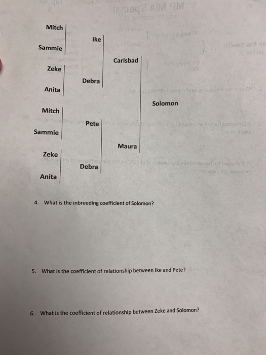 Solved 151582 SIMIM Mitch Ike Sammie boneca BEECE Carlsbad | Chegg.com