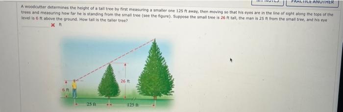 Solved A woodcutter determines the height of a tall tree by | Chegg.com