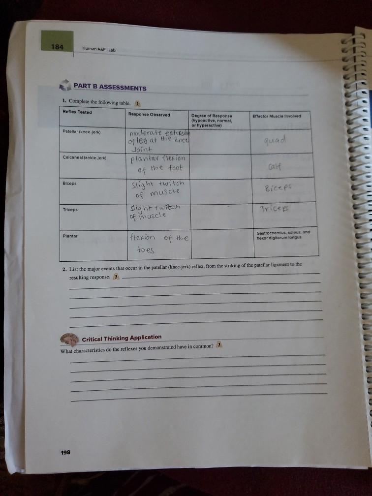 Solved 184 Human A&PI Lab PART B ASSESSMENTS 1. Complete the | Chegg.com