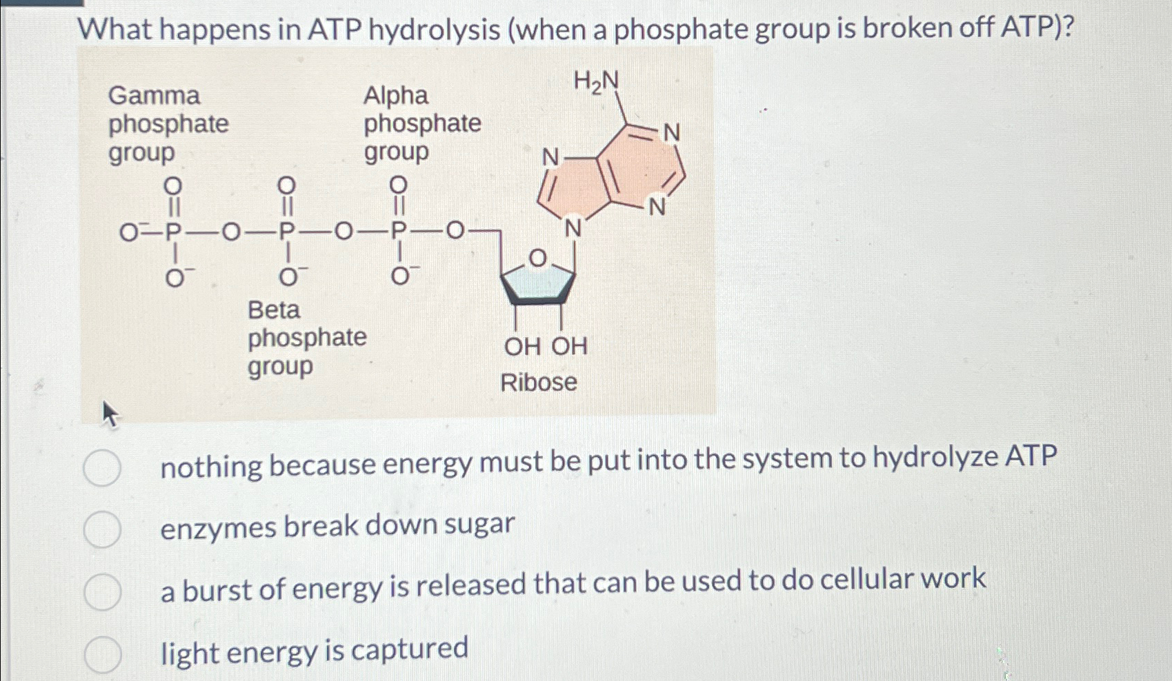 Solved What happens in ATP hydrolysis (when a phosphate | Chegg.com