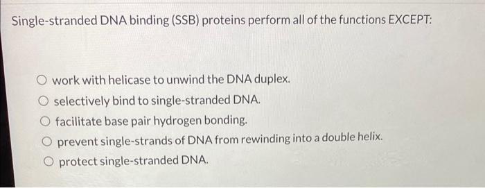 Solved Single-stranded DNA binding (SSB) proteins perform | Chegg.com
