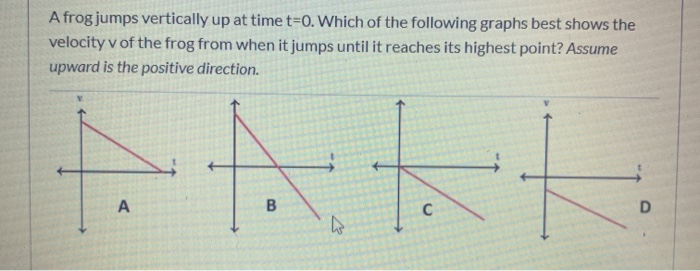 Solved Afrog jumps vertically up at time t=0. Which of the | Chegg.com