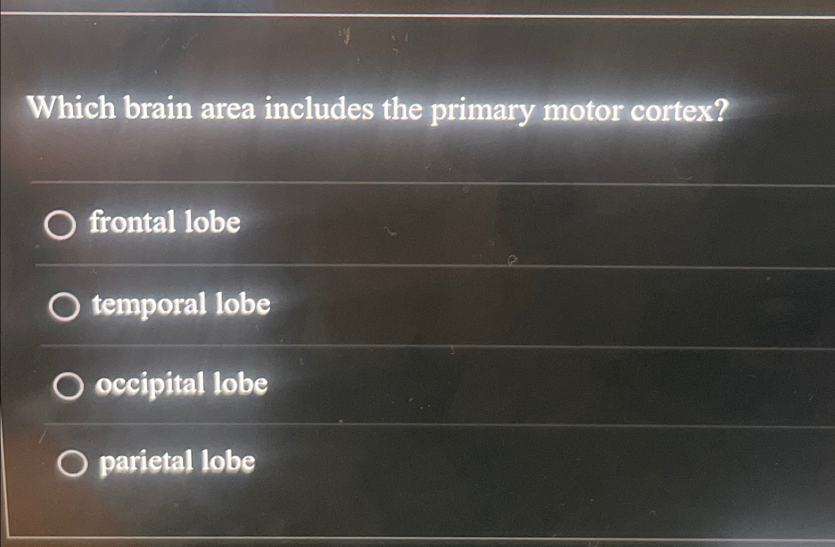 Solved Which brain area includes the primary motor | Chegg.com