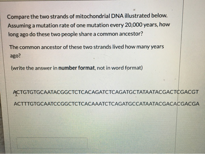Solved Compare the two strands of mitochondrial DNA | Chegg.com