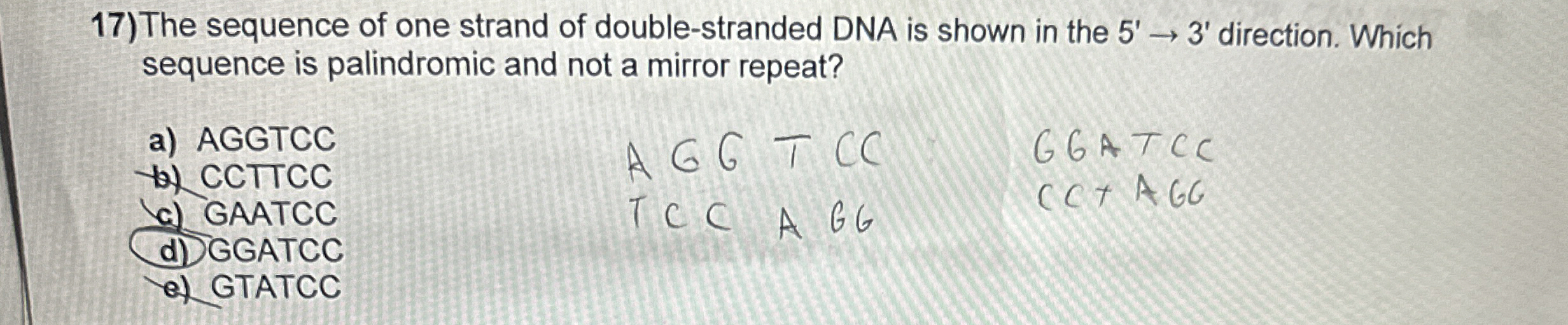 Solved The sequence of one strand of double-stranded DNA is | Chegg.com