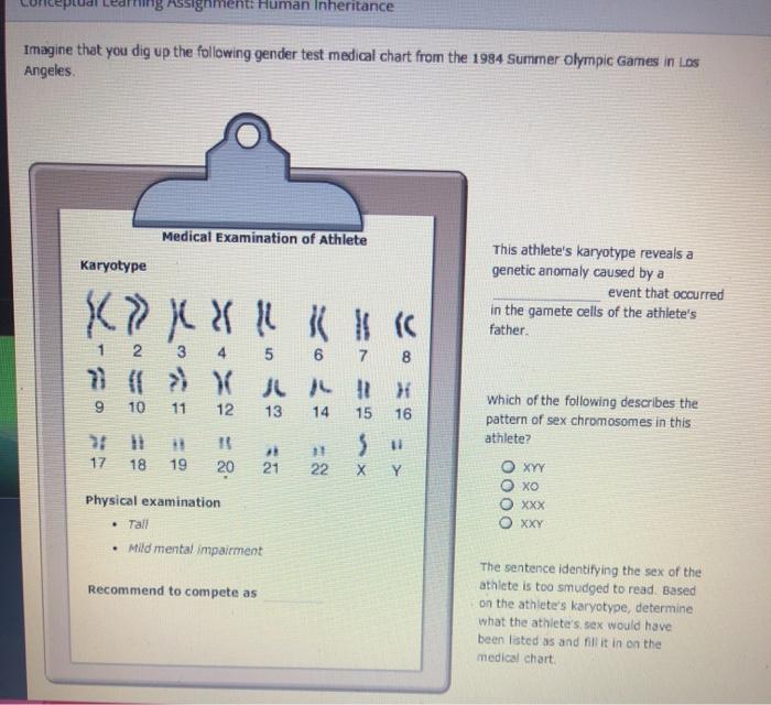 Solved ment: Human Inheritance Imagine that you dig up the | Chegg.com